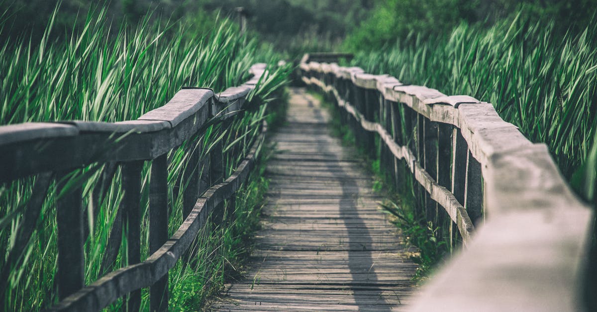 Long Way Down Chapter Quizzes | Epic Reading Quizzes